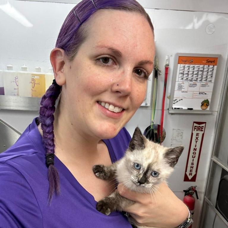 Mobile dog grooming franchise - Vanity Furs